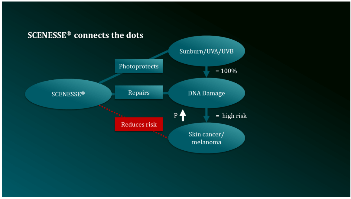 Media Release – New drug to repair damaged skin and reduce skin cancer ...
