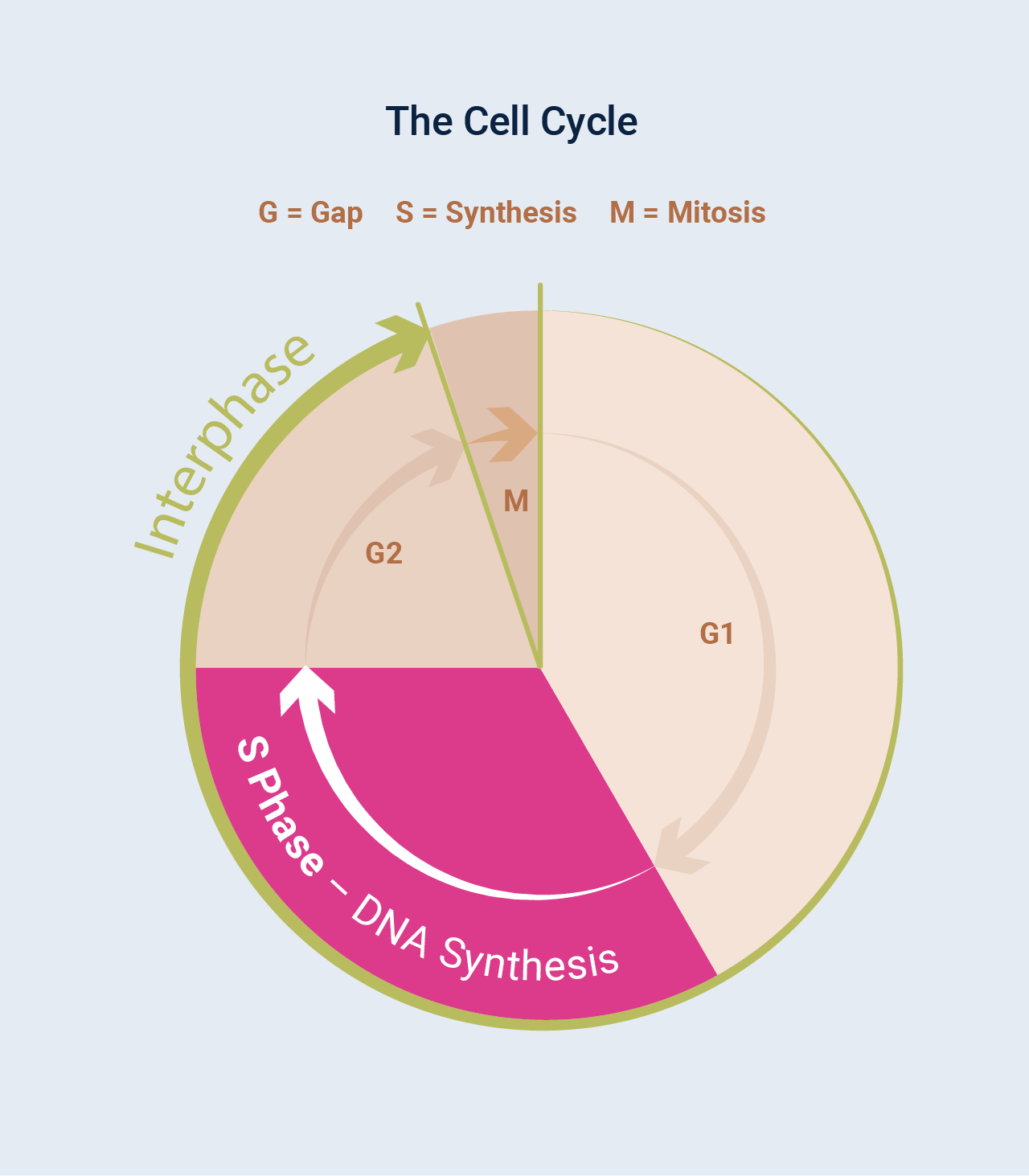 DNA Repair Communiqué II - CLINUVEL