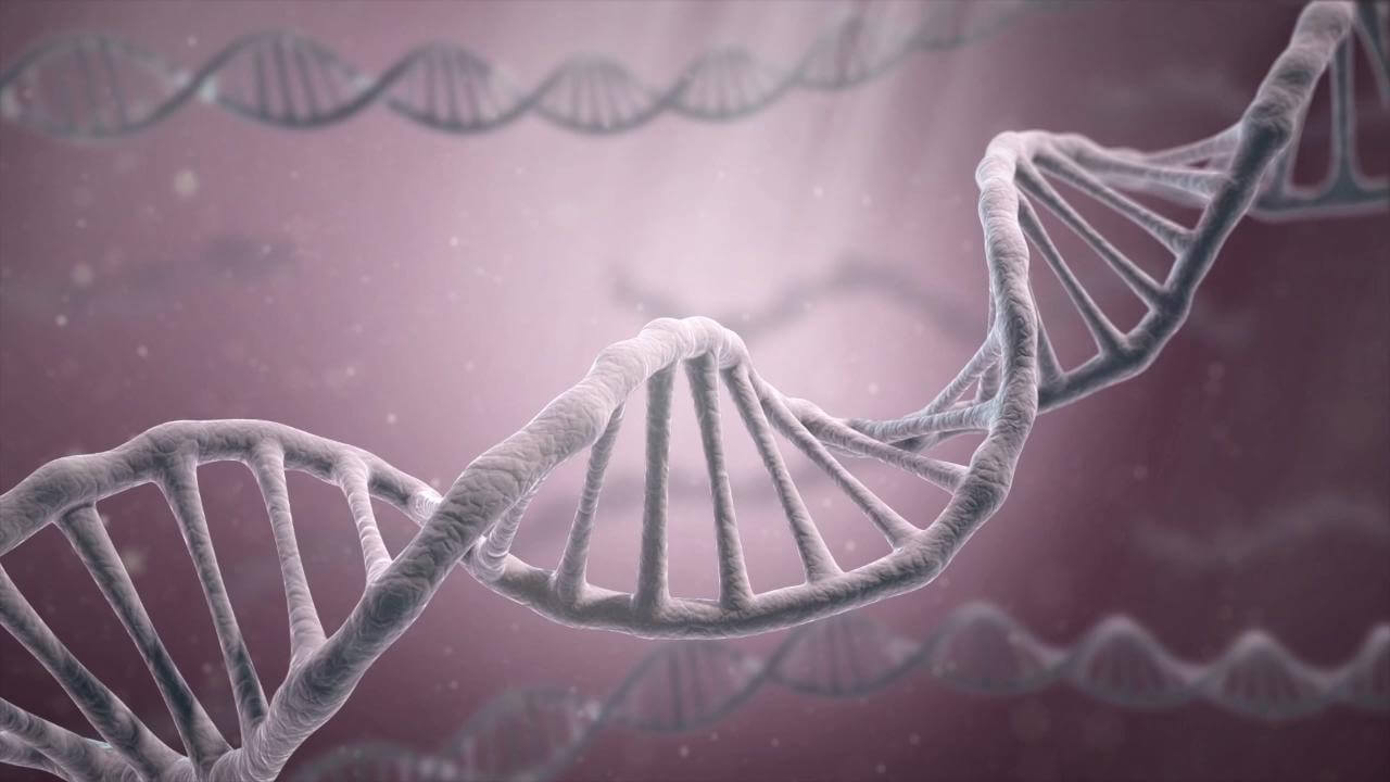 Afamelanotide Reduces DNA Photodamage in Xeroderma Pigmentosum ...